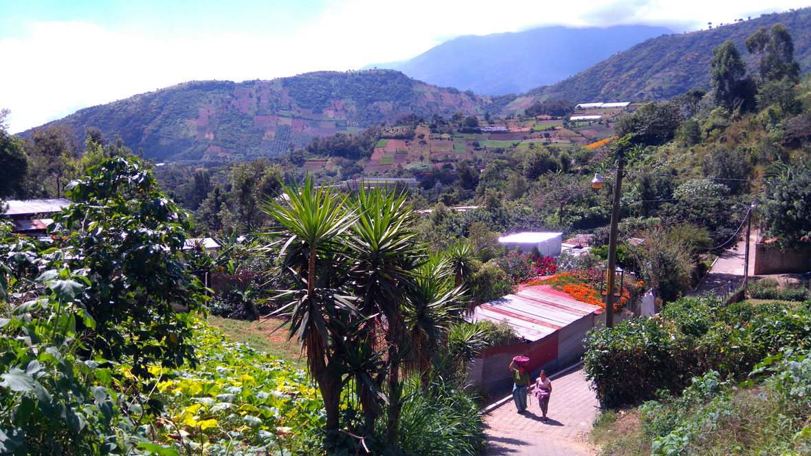 Bureaux et entreprises — Café Chulo