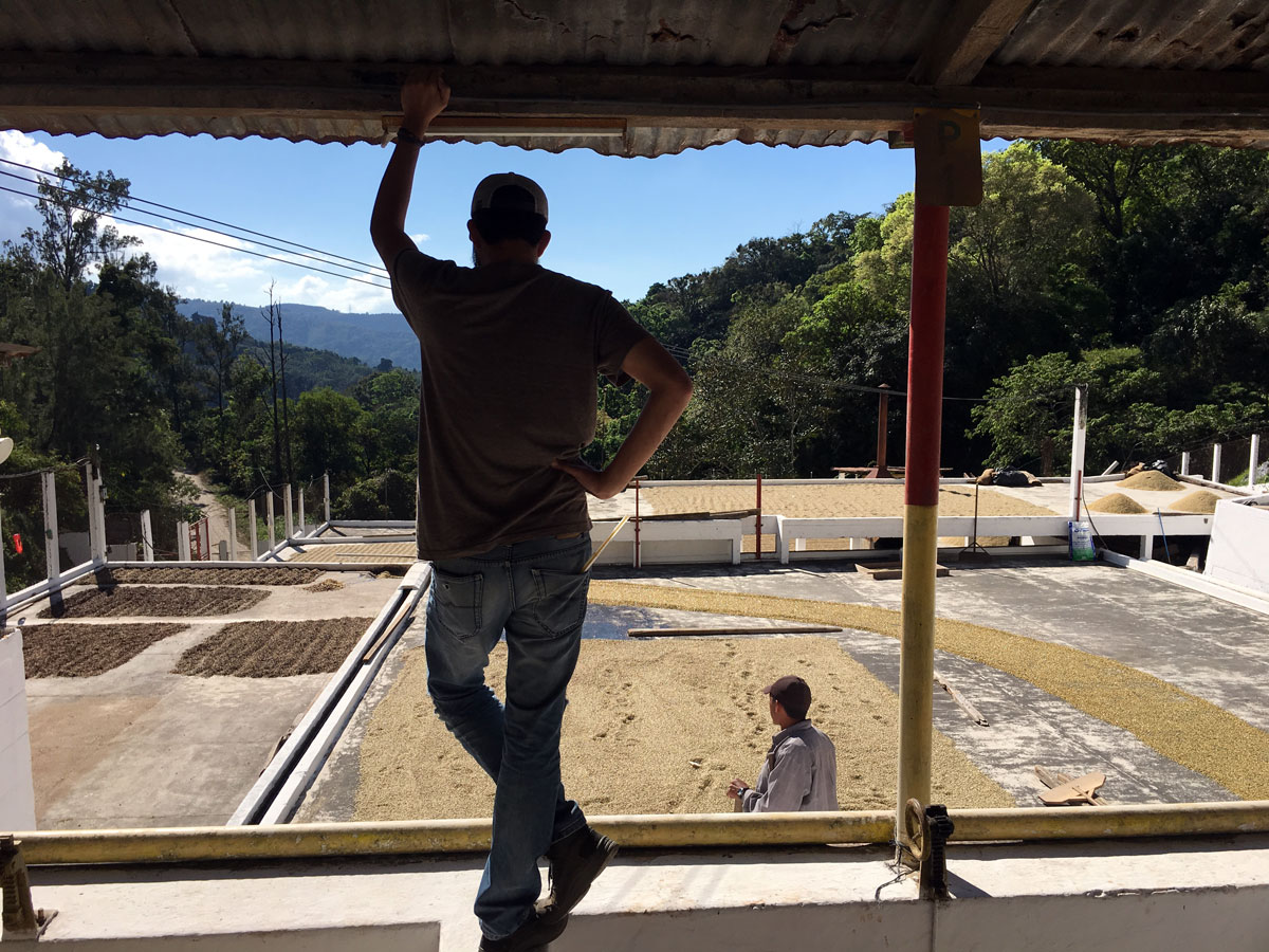 Le vrai prix du café | Café Chulo