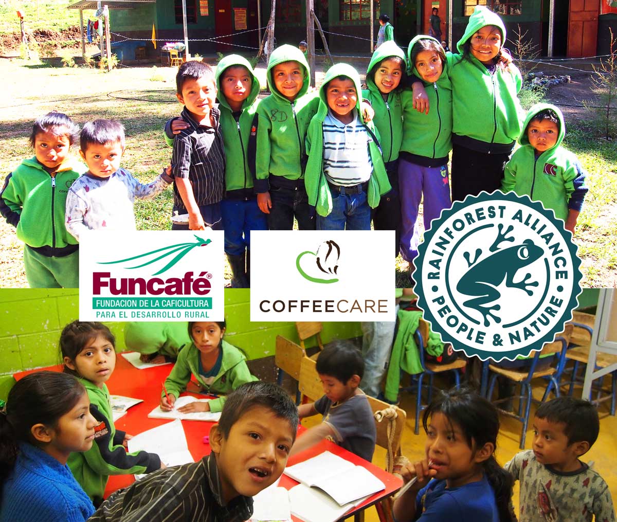 Existe-t-il un bon label ? | Café Chulo